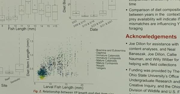 AEL Undergraduate Research Luke Bobay presents at the undergraduate ...
