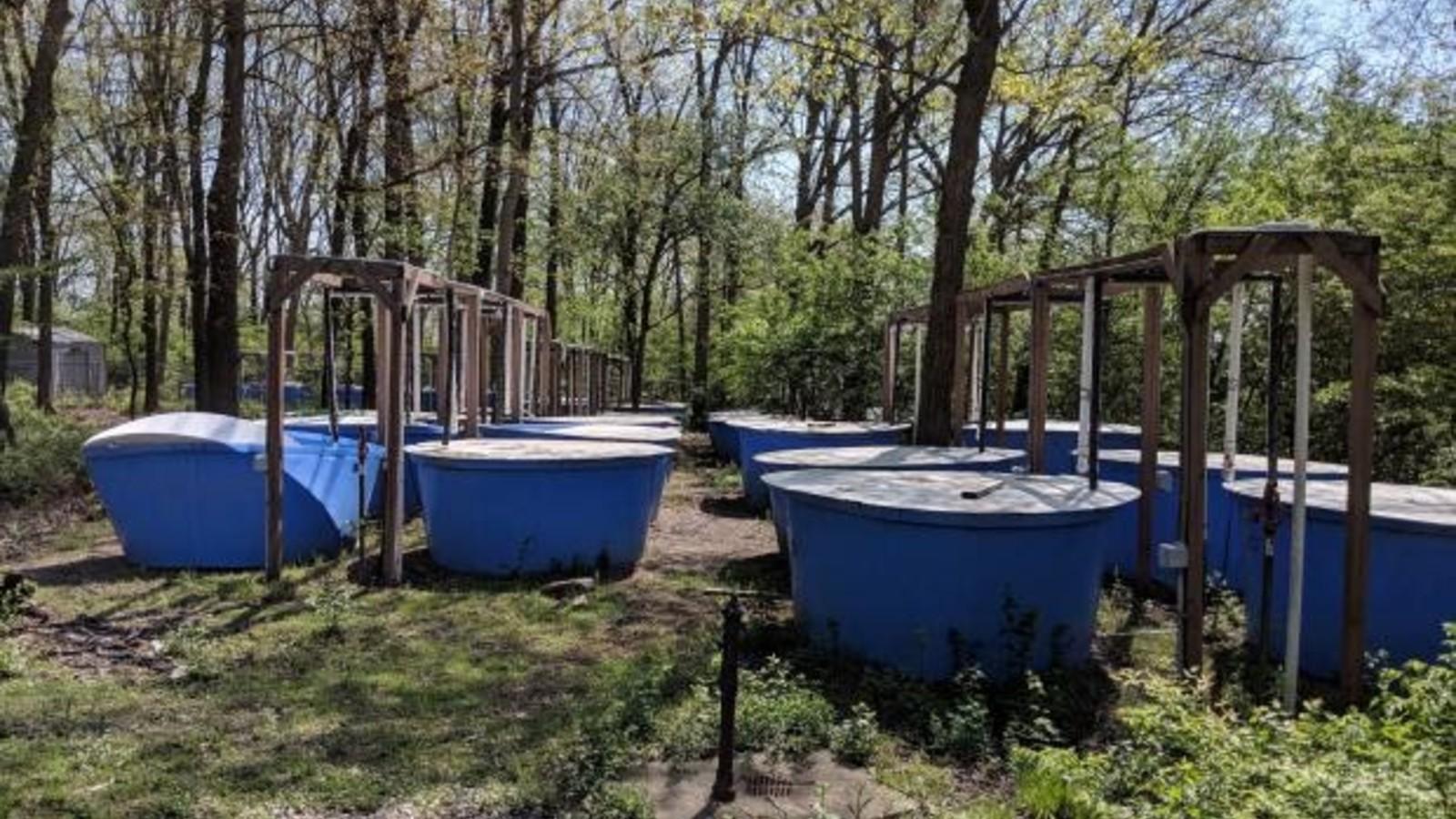 Facilities | Aquatic Ecology Laboratory