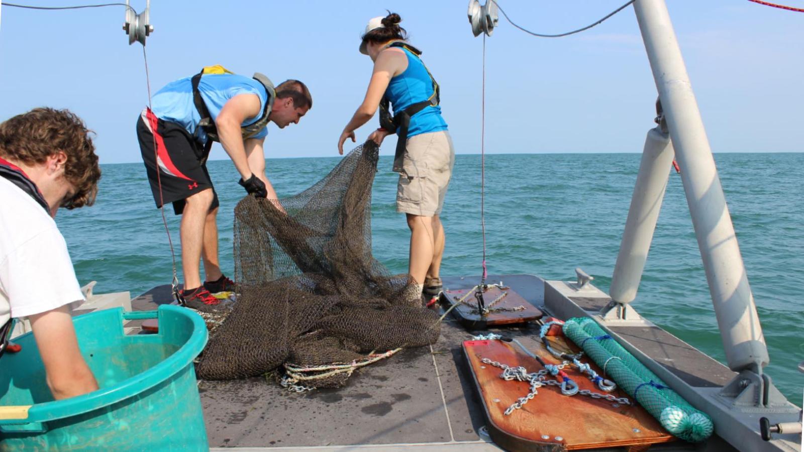 Research | Aquatic Ecology Laboratory